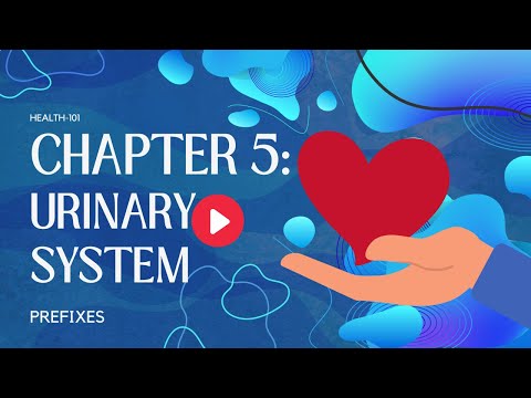 Ch . 5: Urinary System - Prefixes