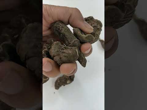 Corporate Video of The Herbs N Spices, Rawatkheda, Neemuch