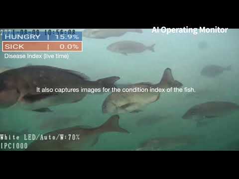 AI Fish Farmer Service Guide