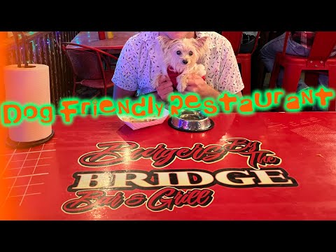 Burgers By The Bridge Bar & Grill / Dog Friendly Restaurant Review