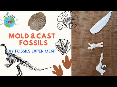 DIY Mold Fossil and Cast Fossil Science Experiment | Understanding of Fossils