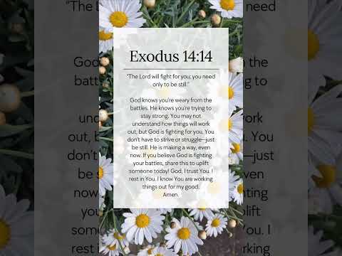Verse Of The Day #bible #bibleverse #shorts #short #quotes #god #jesus #prayer #motivation #faith