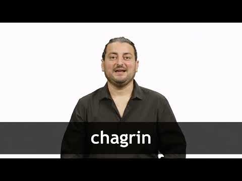 English Translation of “CHAGRIN” | Collins French-English Dictionary