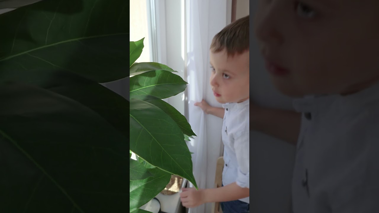 Montessori in action #shorts