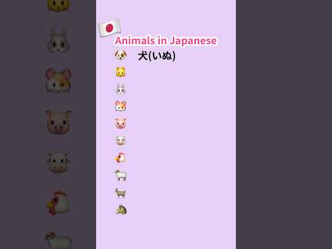 Quiz! Animals name in Japanese 🇯🇵