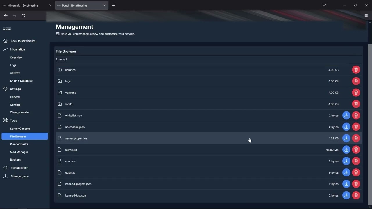Preview of Minecraft Panel | ByteHosting