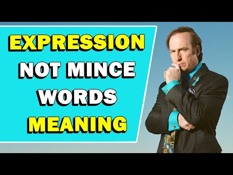 Expression 'Not Mince Words' Meaning