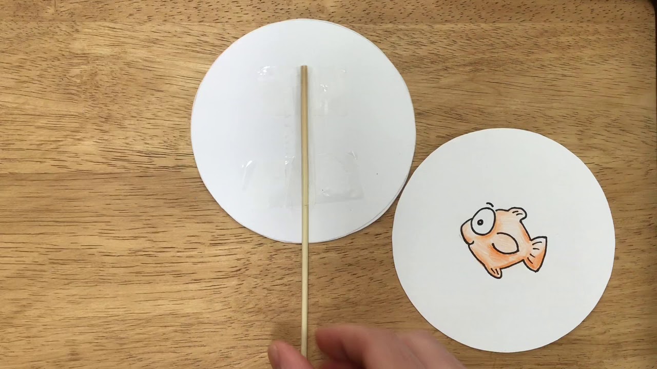 Animation 1 Thaumatrope