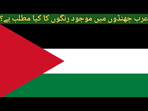 What Are Pan Arab Colors? || What Is The Meaning Of Colors In Arab Flags [Hindi/Urdu]