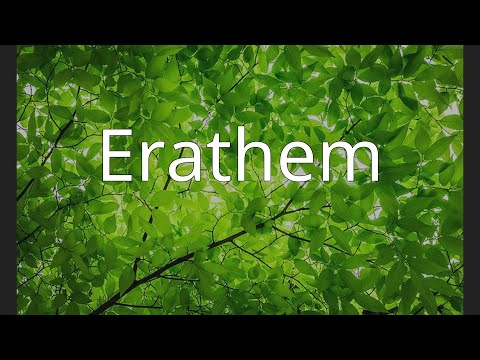 Erathem