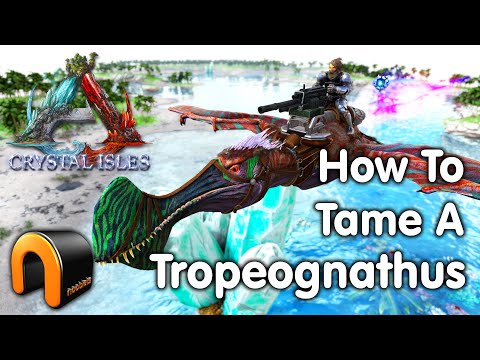 Steam Community :: Video :: Ark HOW TO TAME A TROPEOGNATHUS Jet Fighter!