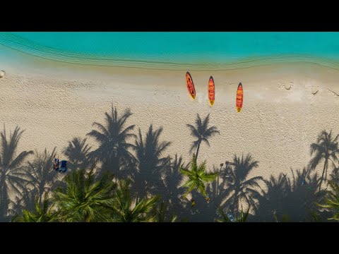 Discover the Top 10 Beaches in Vietnam!