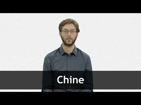 How to pronounce CHINE in French