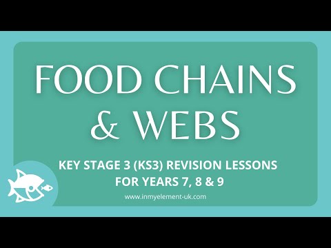 Food Chains and Food Webs - who is eaten by whom - Biology Revision (Years 7, 8 & 9)
