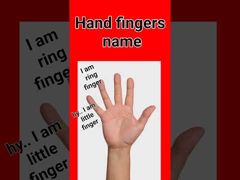 Hand fingers name / fingers name english & hindi #shorts# ytshorts #viral shorts#trending shorts