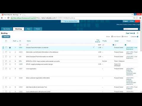 Product Backlog Items (PBI)