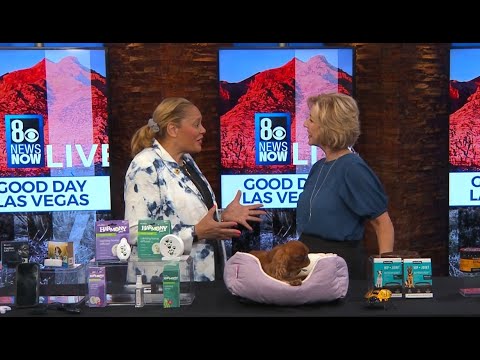 Latest health and wellness items for pets