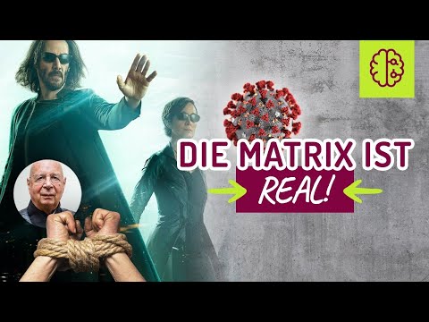 Die Matrix ist REAL ! Heute PACKE ich aus ! Erschreckend ! Rette sich wer kann.