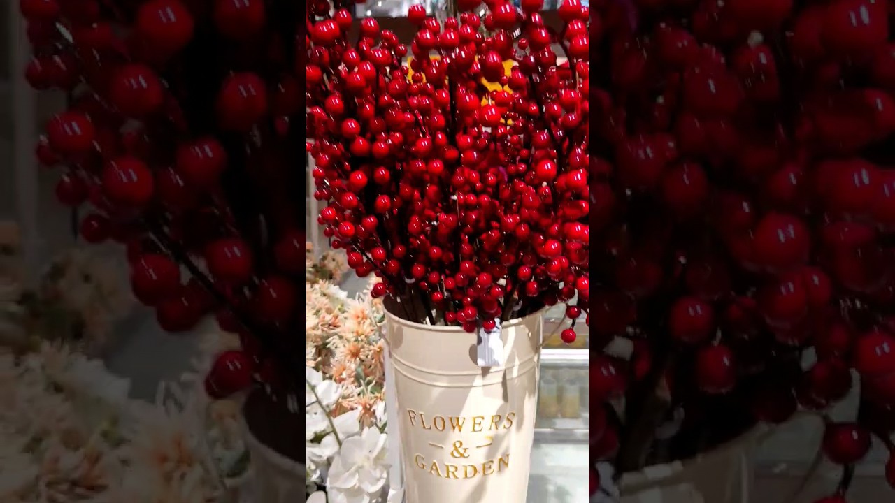 Pot Bunga Cantik 30ribuan ajah di KKV Jakarta #flowers #pot #bunga #healing #jalanjalan