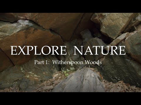 Explore Nature: Witherspoon Woods