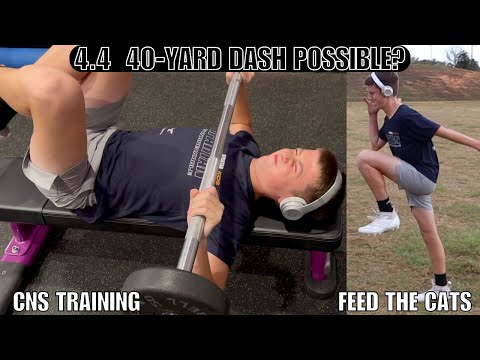 Can THIS Training Get My Son to a 4.4 40-Yard Dash? (Testing Feed The Cats + EVO Code!)