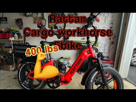 Rattan Pinus cargo ebike