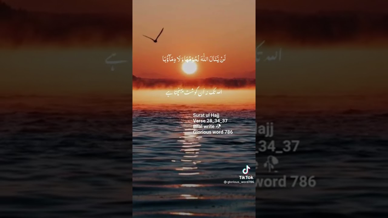 Quran Translation Surah Al Hajj verses 28 34 37