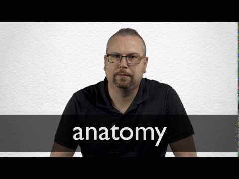 How to pronounce ANATOMY in British English