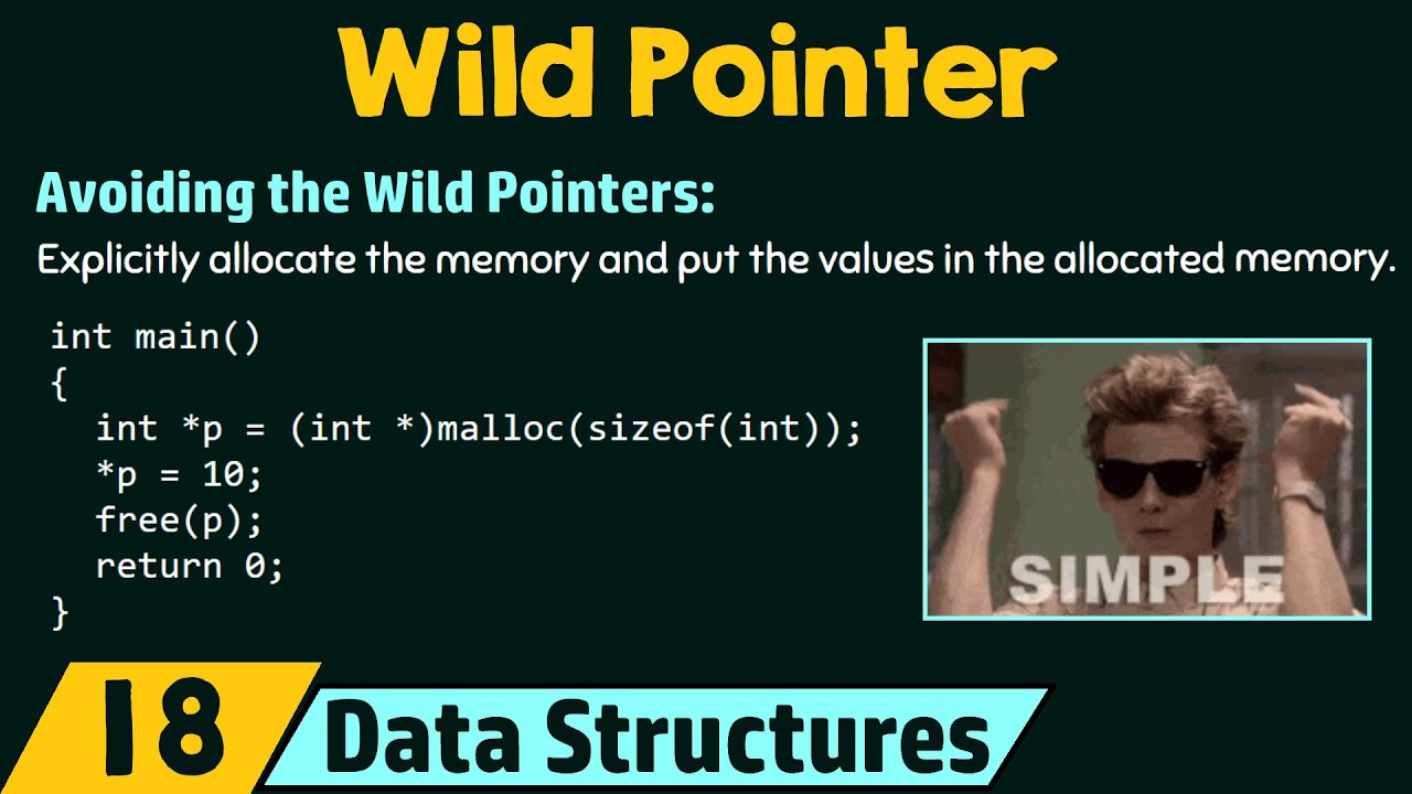 Understanding the Wild Pointers