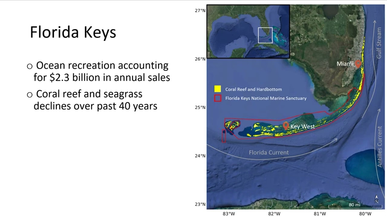 Sargassum in Florida Keys: Application of High-resolution Satellite Imagery & Deep Learning Model