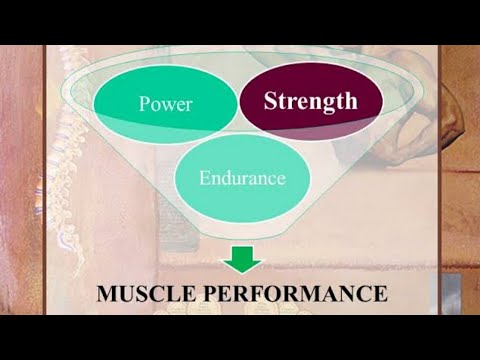 Muscle Strength, Muscle Endurance & Muscle Power - Definition and the Difference 👍
