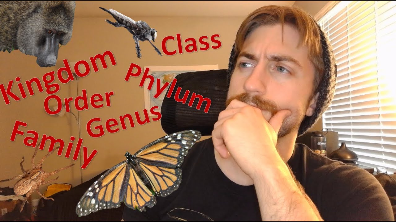 Scientific Classification Basics - Topic Spotlight