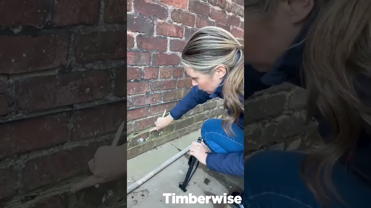 Bridged or failed Damp proof course?