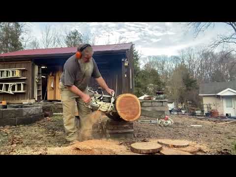 Skil 1680 chainsaw test cut in wood.#chainsaws #logging #vintagechainsaw Andy p test collection