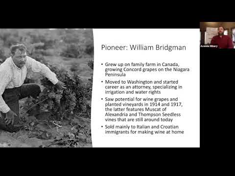 All Things Avennia: Washington Wine Pioneers