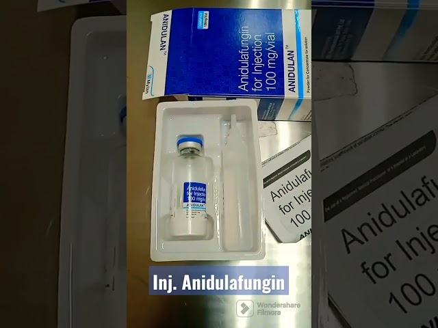 ANTIFUNGAL INJECTION - Michafung Plus Injection Wholesale Distributor ...