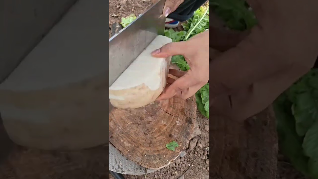 ‎TS 51000776 mini rotary tillage and ridging all-in one tree 🌴