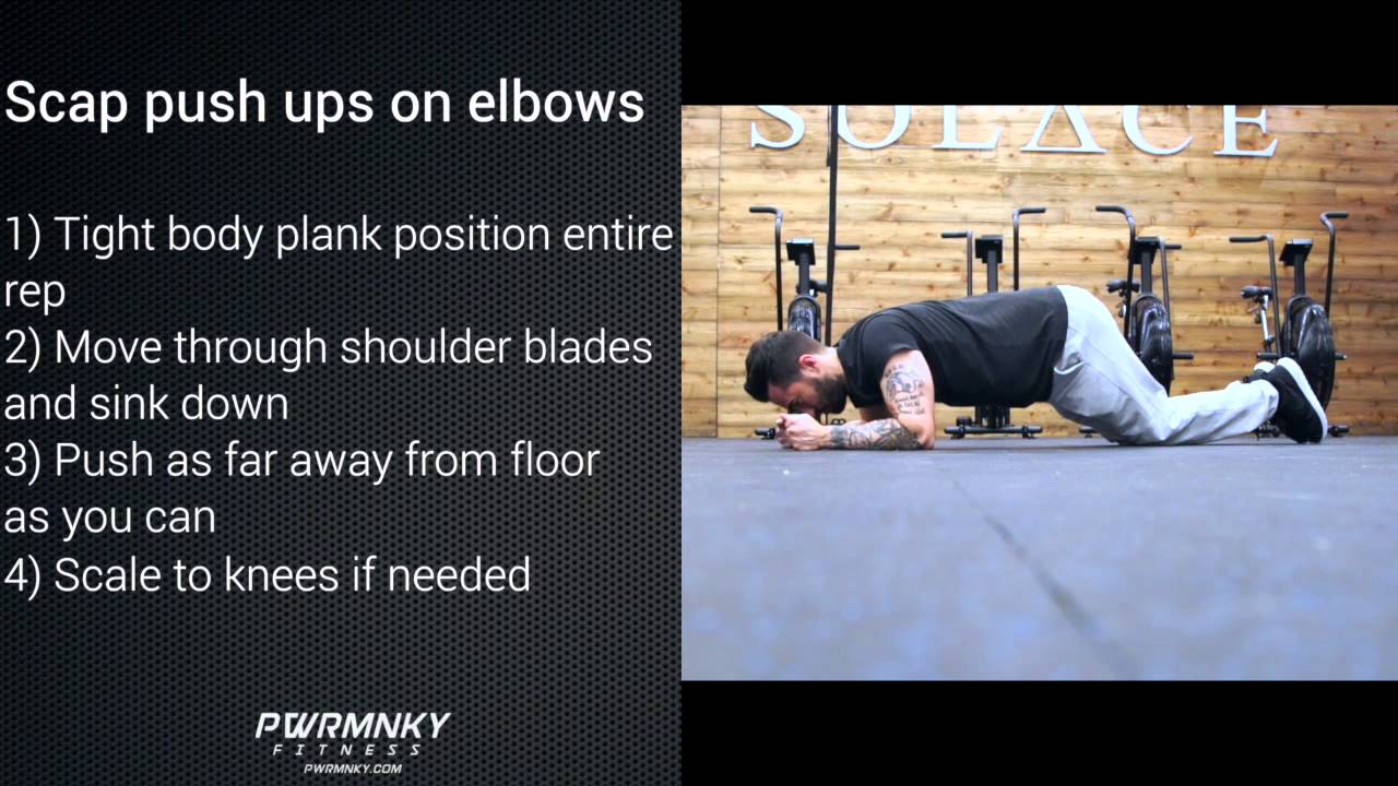 MONKEY METHOD Scap push ups on elbows