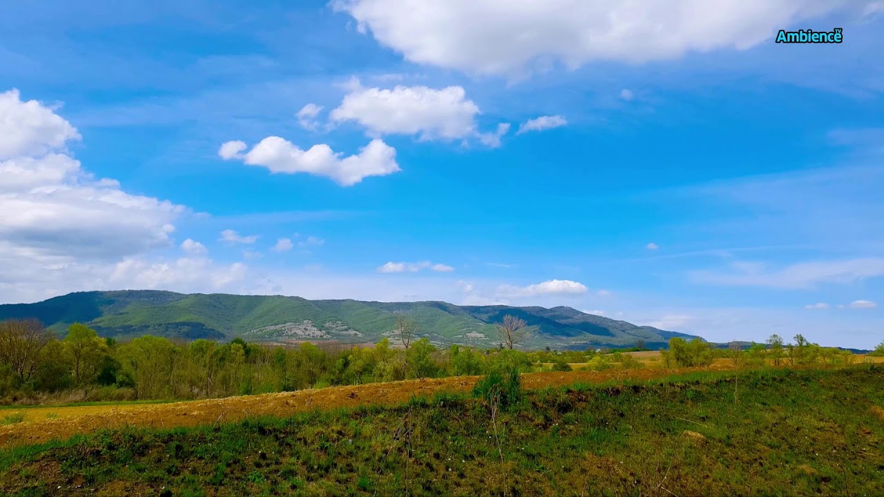 In Harmony with Pure Nature: Contemplation for Consciousness and the Soul FHD 24/7