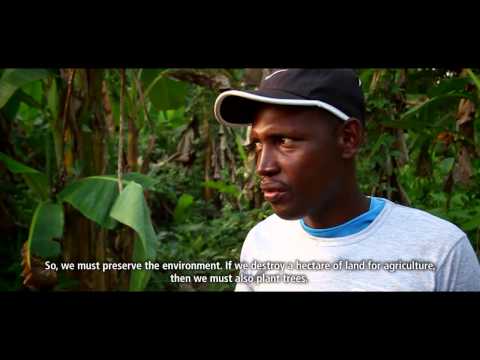 A forest of opportunities in Panama