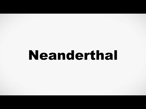 How to Pronounce Neanderthal