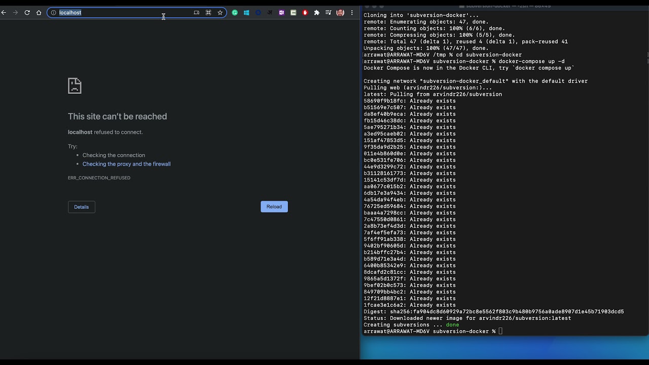 Installation of Subversion using docker with https (self-signed certifacte)