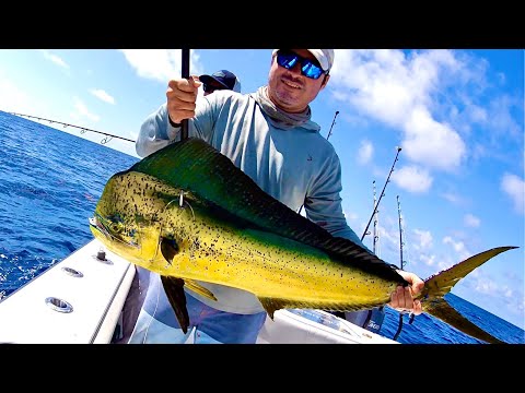 Mahi - Swordfish - Rosefish - Catch and Cook