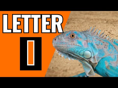 Letter I! Learn Animal Names & Sounds with Alphabet Animals – Fun for Kids!