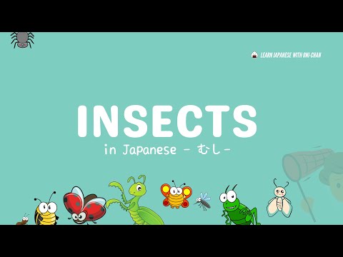 Learn Japanese Vocabulary |15 Insect Names in Japanese【虫】