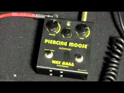 Way Huge Piercing Moose Octifuzz – Drowning in Guitars!