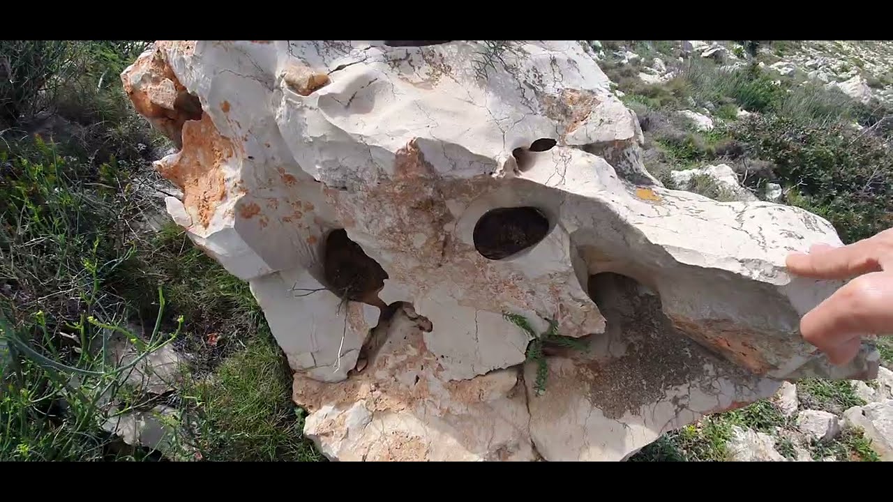 LIMESTONE = LIME BONE!