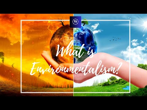 What is Environmentalism?