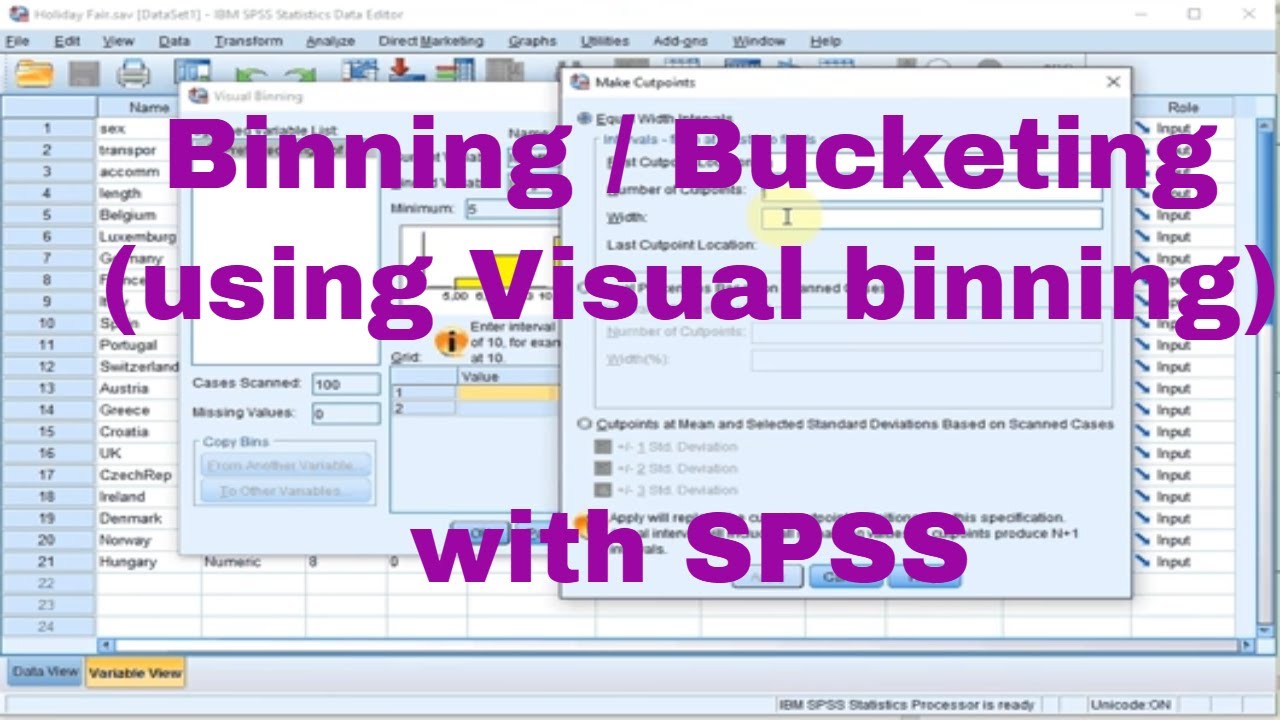 SPSS - Binning (using Visual binning)