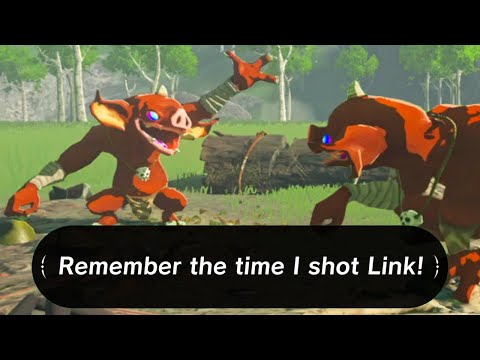 Remember the Time I Shot Link! (Zelda Short)